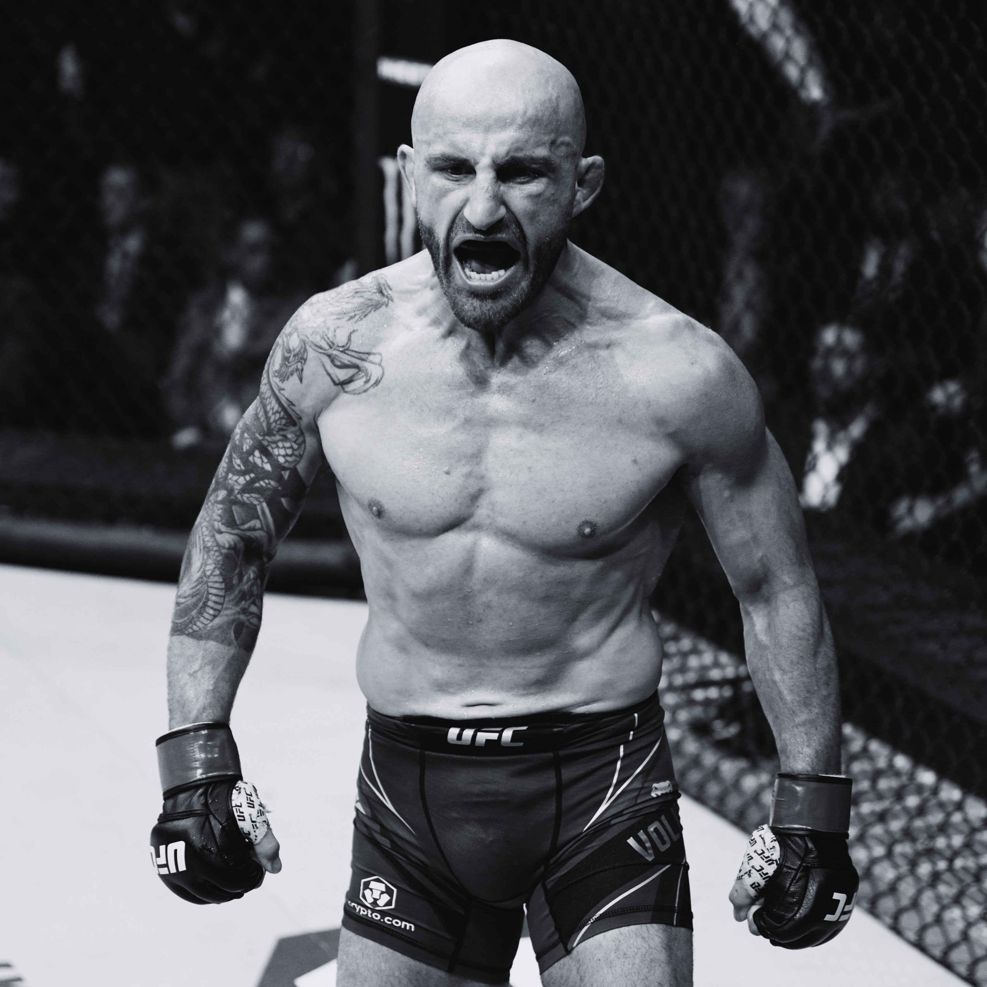 MMA – Fan Wear Co. Pty Ltd